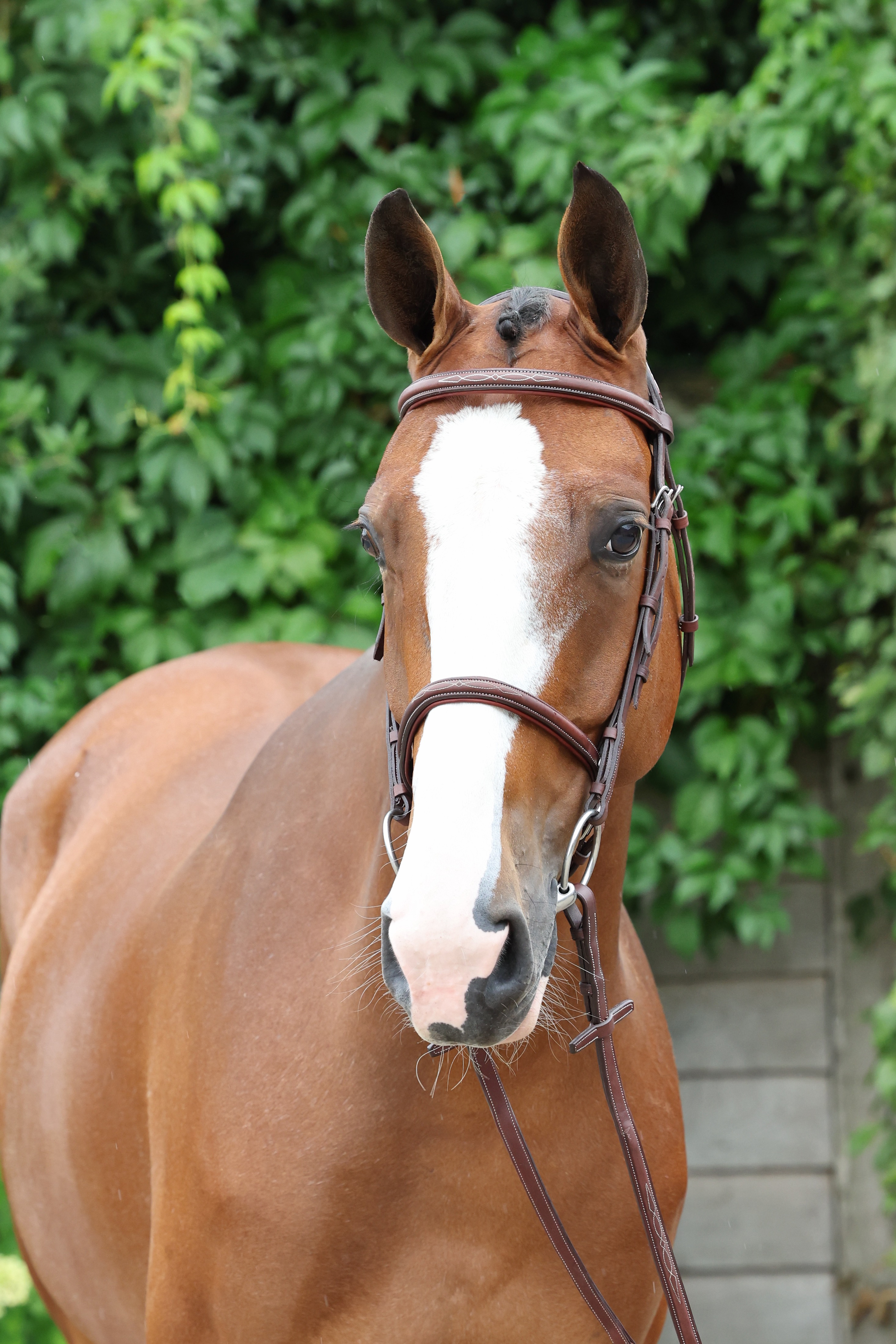 15. BEST BOB | Holger Hetzel